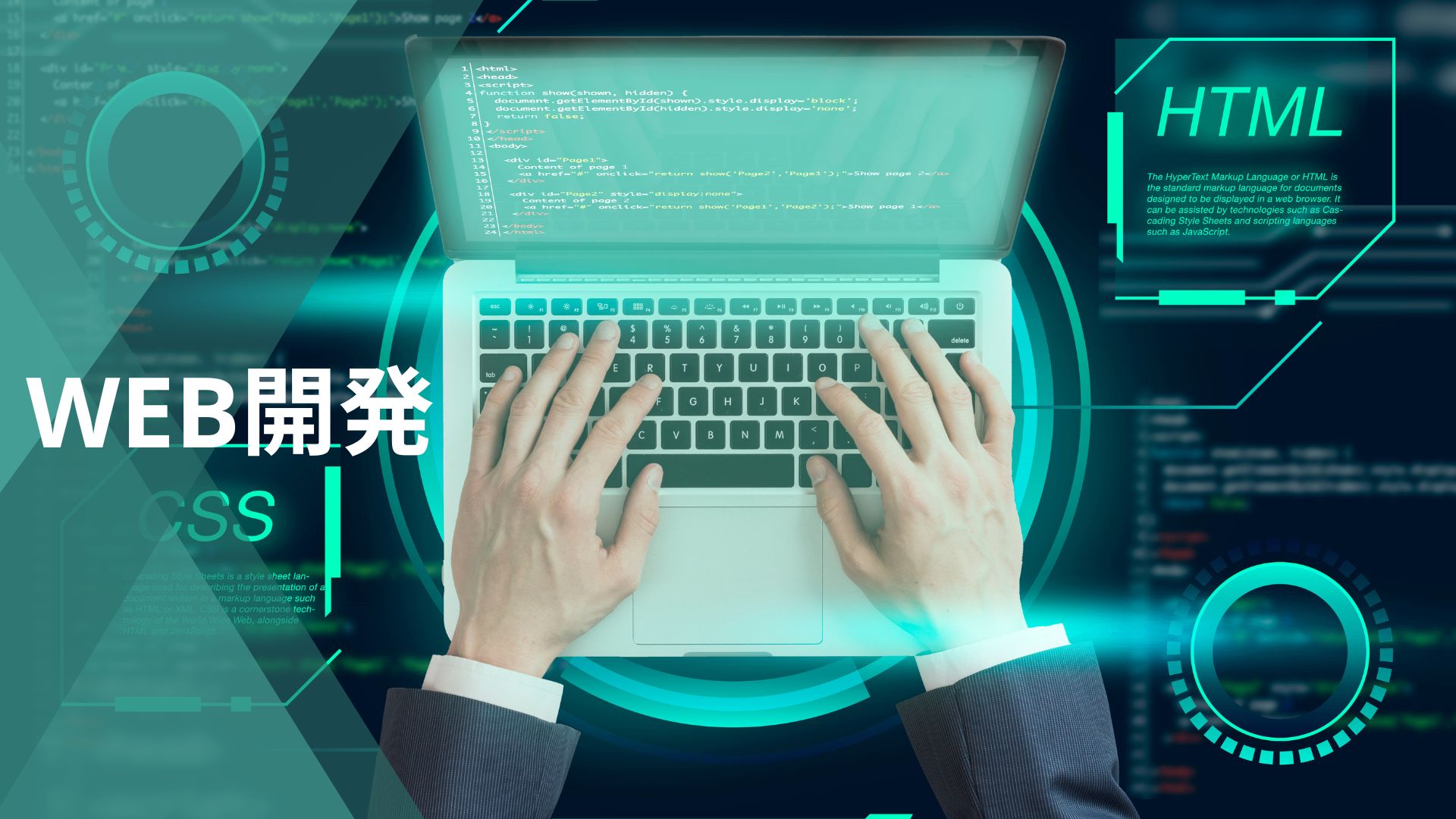 Web Development - NETKO Solution